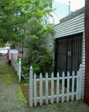 Bridge Plaza Brooklyn - Click here for information on Bridge Plaza